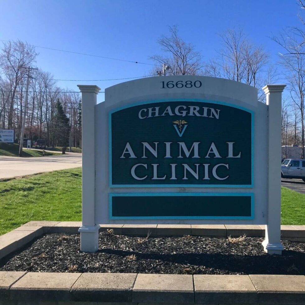 Chagrin Animal Clinic Tour | Vet Clinic In Chagrin Falls, OH